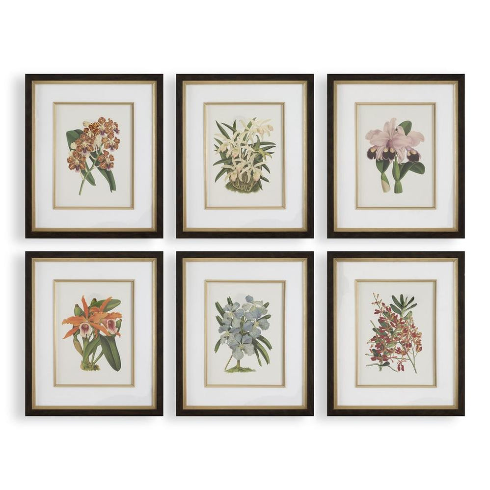 Uttermost® Wall Art Decor — SHINE MIRRORS AUSTRALIA